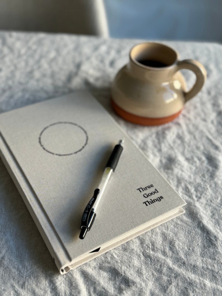 Finding the Good with 3 Good Things - The Debtist